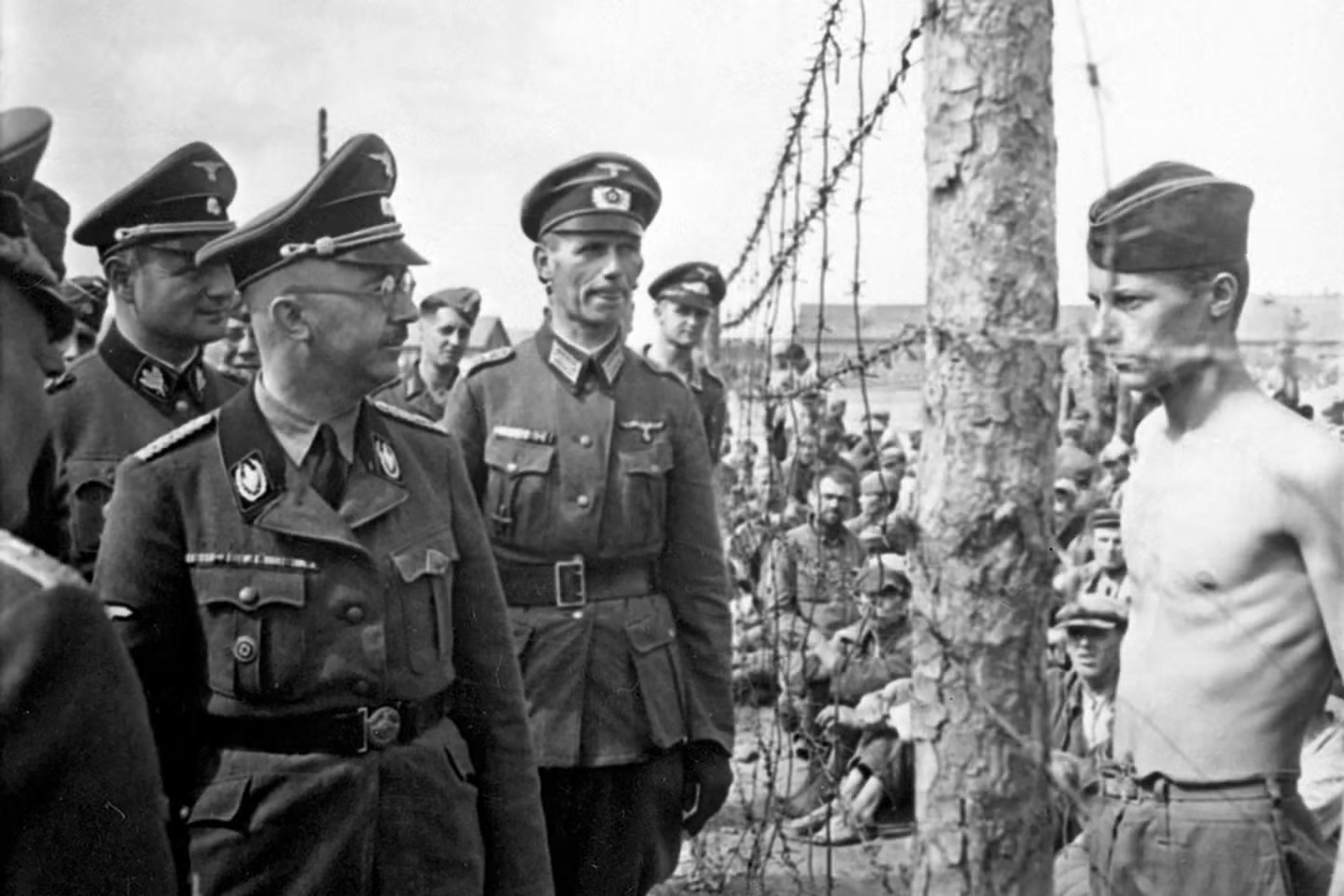 Biographie de Heinrich Himmler - La Seconde Guerre Mondiale